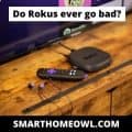 Do Rokus Ever Go Bad? Common Problems, Signs & Tips – SmartHomeOwl