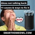 Alexa Not Talking Back: 11 Causes & Ways To Fix It (2022) – SmartHomeOwl