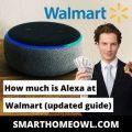 How Much Is Alexa At Walmart (Updated 2022 Guide) – SmartHomeOwl