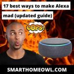 17 Best Ways To Make Alexa Mad (Updated 2023 Guide) – SmartHomeOwl