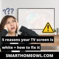 5 Reasons Your TV Screen Is White + How To Fix It (2023) – SmartHomeOwl
