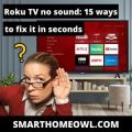 Roku TV No Sound: 15 Ways To Fix It In Seconds (2023) – SmartHomeOwl