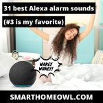 31 Best Alexa Alarm Sounds In 2023 (#3 Is My Favorite) – SmartHomeOwl