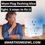 Wyze Plug Flashing Blue Light: 3 Steps To Fix It (2023) – SmartHomeOwl